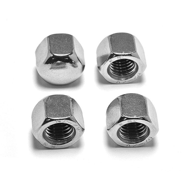 DIN986 Stainless Steel Body with Nylon Insert Lock Cap Nut - Buy Cap ...